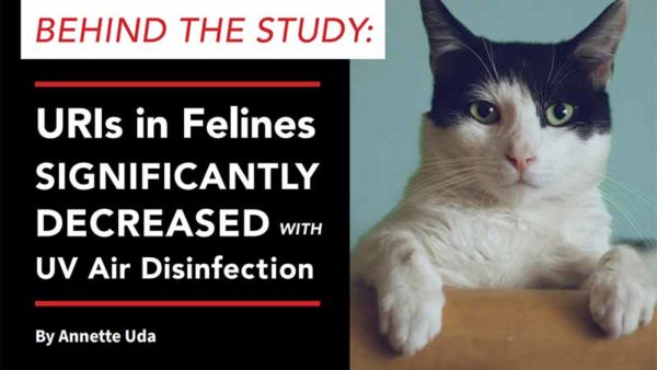 UV Light and Preventing the Spread of Infectious Disease - Aerapy ...